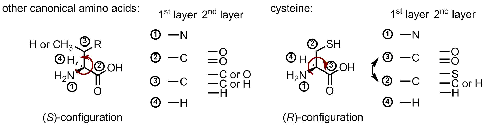 ChemSynBio – The Genetic Code