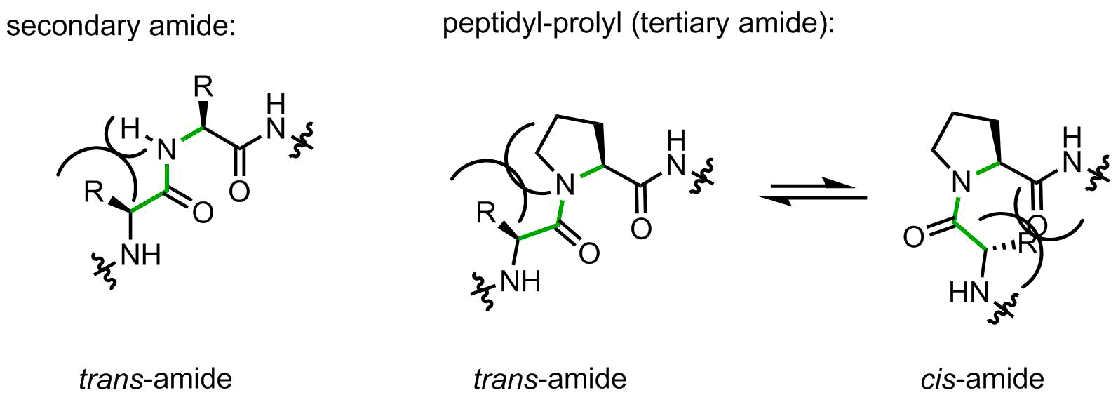 ChemSynBio – The Genetic Code